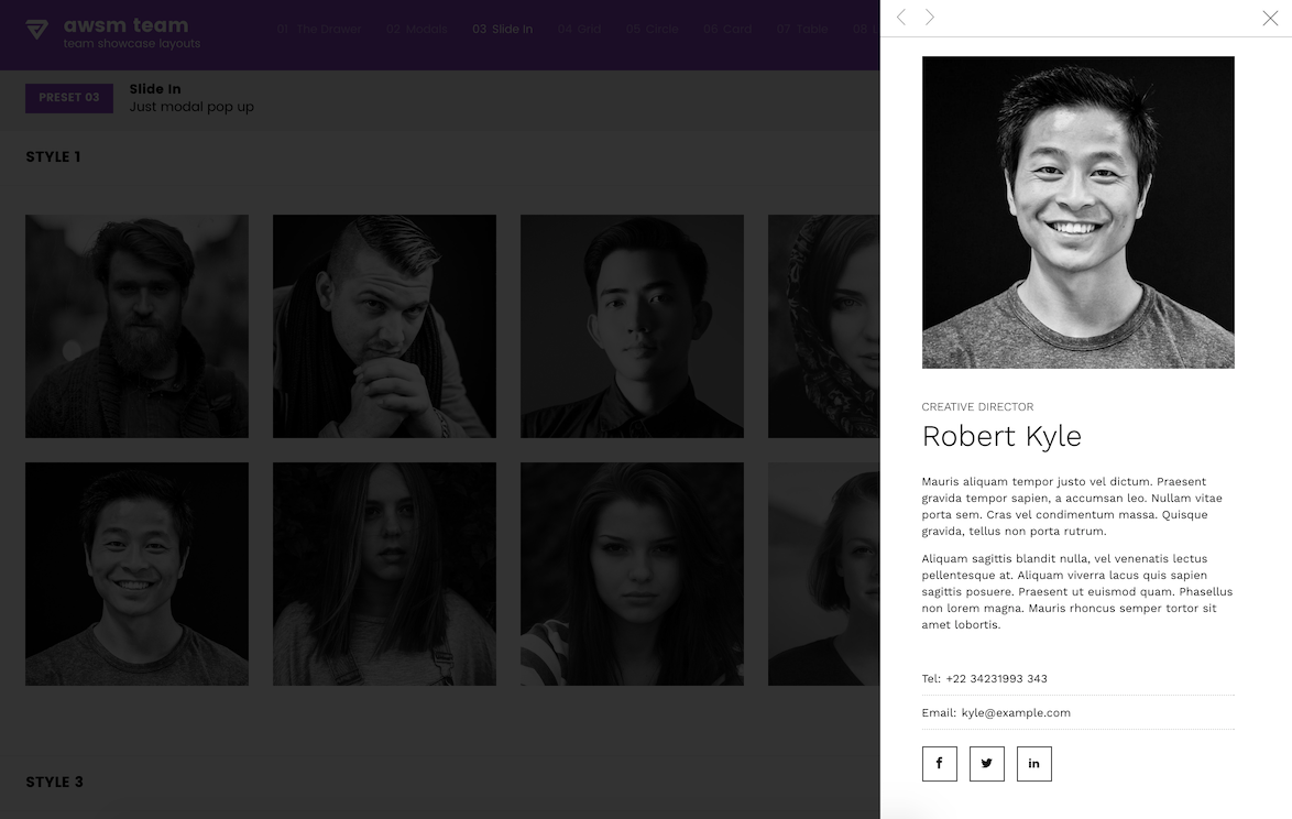 The Team Pro - Team Showcase WordPress Plugin by awsmin | CodeCanyon